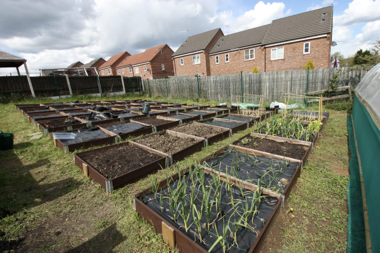 Mini Allotment Plots - Grow Wakefield