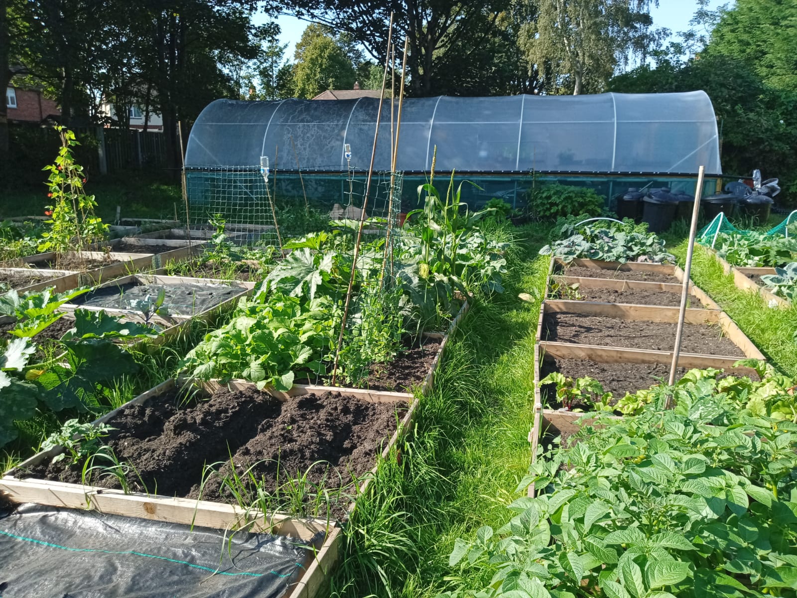Mini Allotment Plots - Grow Wakefield